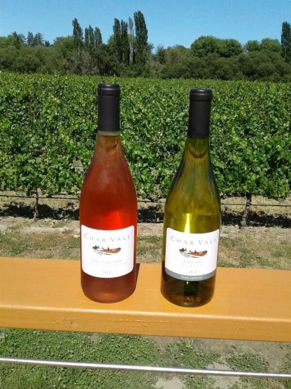 Summertime Ripening - Char Vale Winery